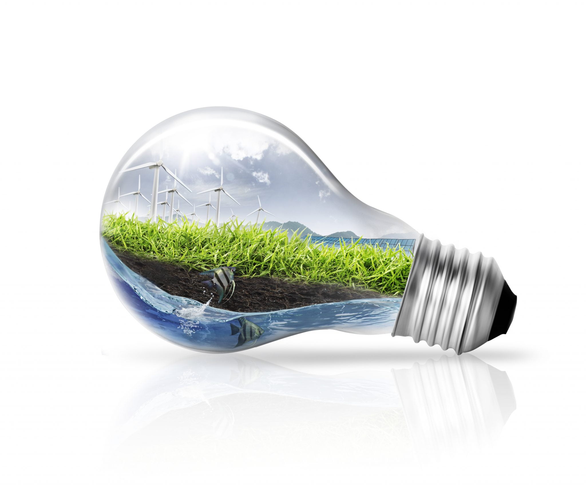 Bureau Veritas wants electrical contracting industry to go green ...