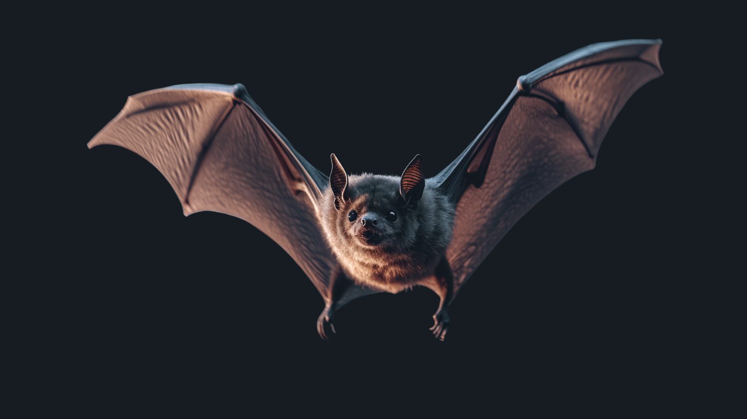 School installs dark sky outdoor lighting to protect bats - Electrical ...