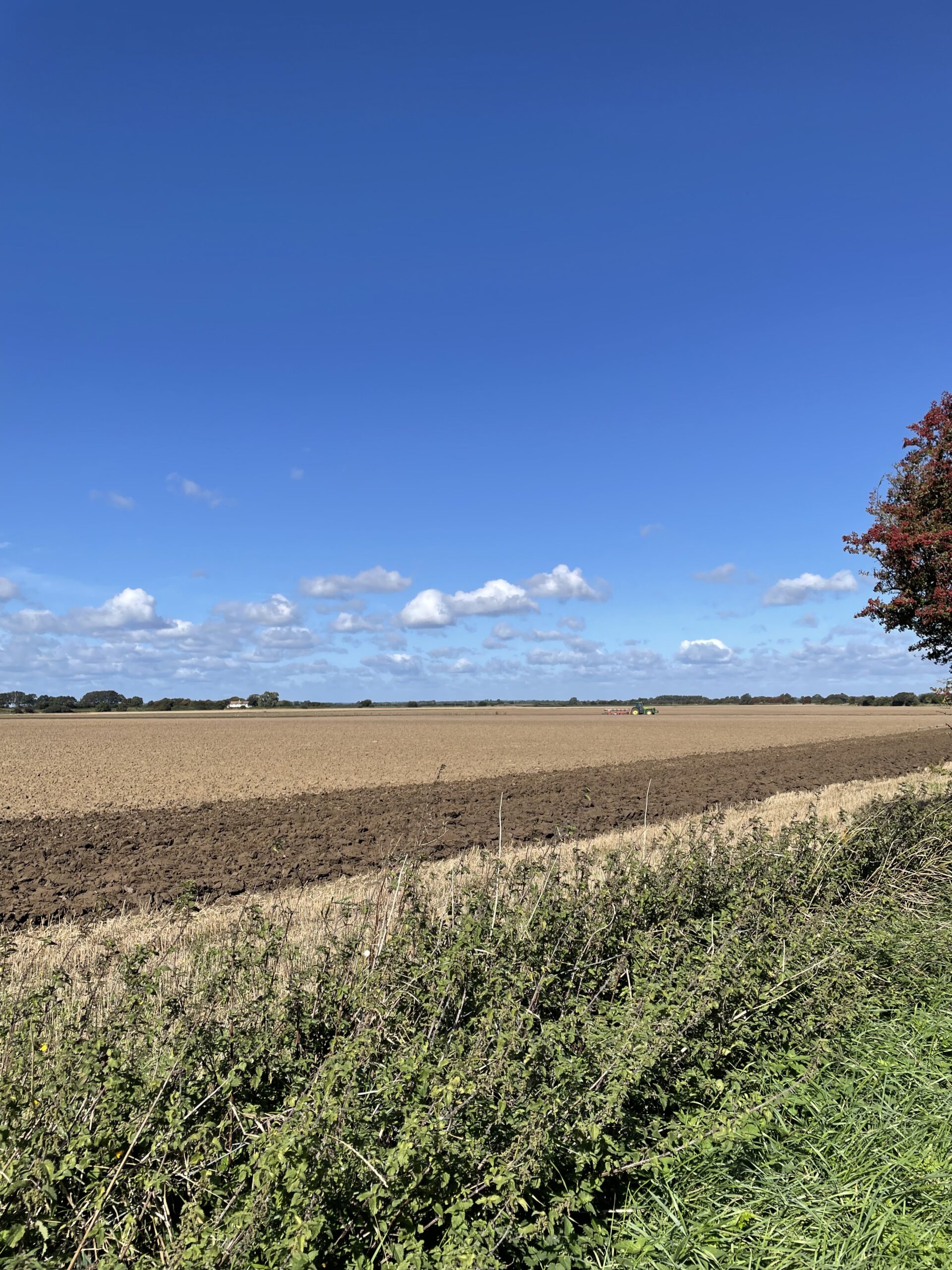 Mega solar farms threaten area of Romney Marsh three times bigger than ...